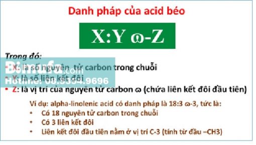 Các loại nhũ dịch lipid được sử dụng trong lâm sàng