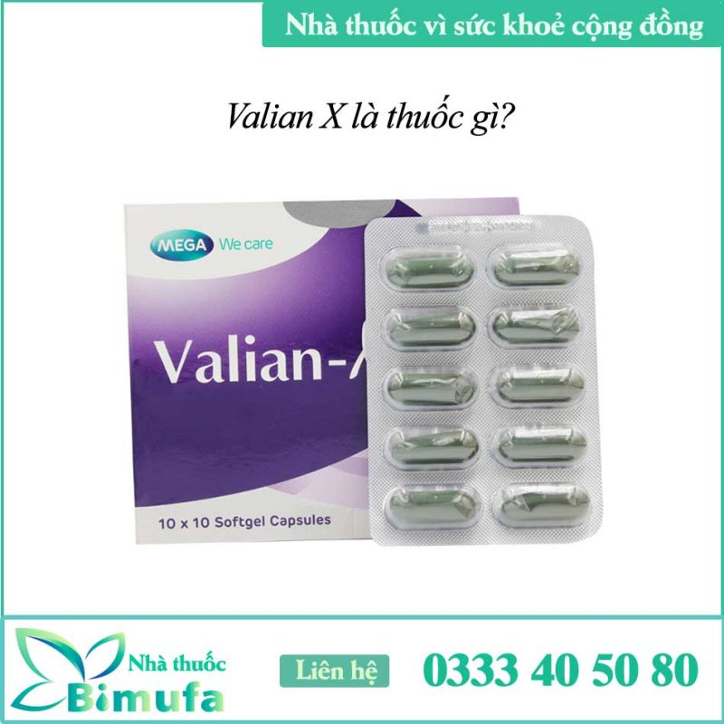 Valian X - Biện pháp điều trị lo âu, mất ngủ, suy giảm trí nhớ hiệu quả