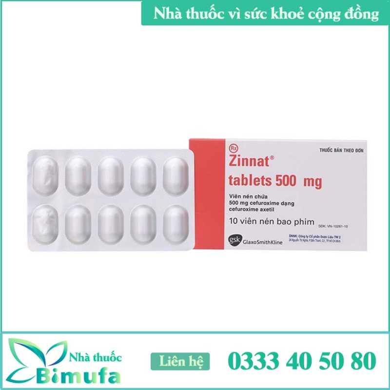 Zinnat 500mg | Thành phần, Công dụng & Giá bán