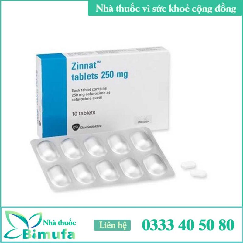 Zinnat Tablets 250mg: Thành phần, Công dụng & Giá bán