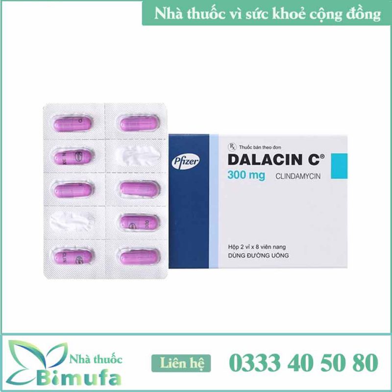 Thuốc Dalacin C điều trị các bệnh nhiễm khuẩn hệ hô hấp, da, xương