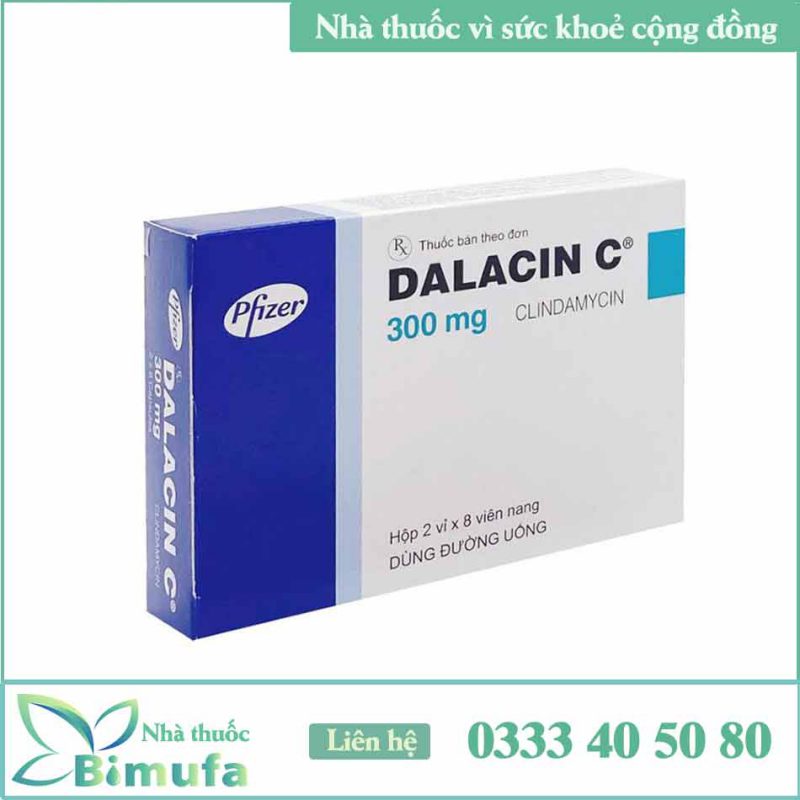 Thuốc Dalacin C điều trị các bệnh nhiễm khuẩn hệ hô hấp, da, xương